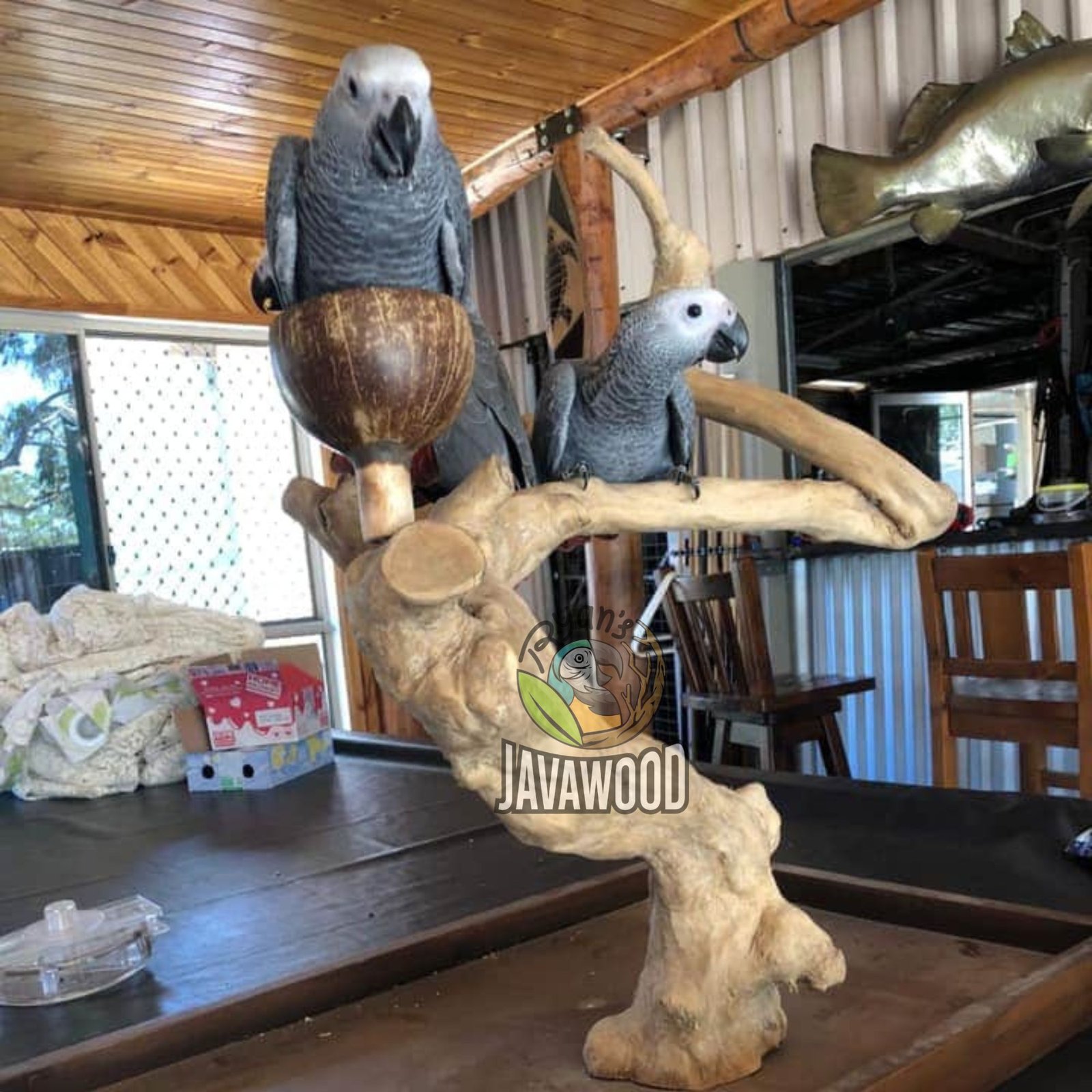 Javawood Table Stand | Natural Handcrafted Bird Perch | JavaWoodTree